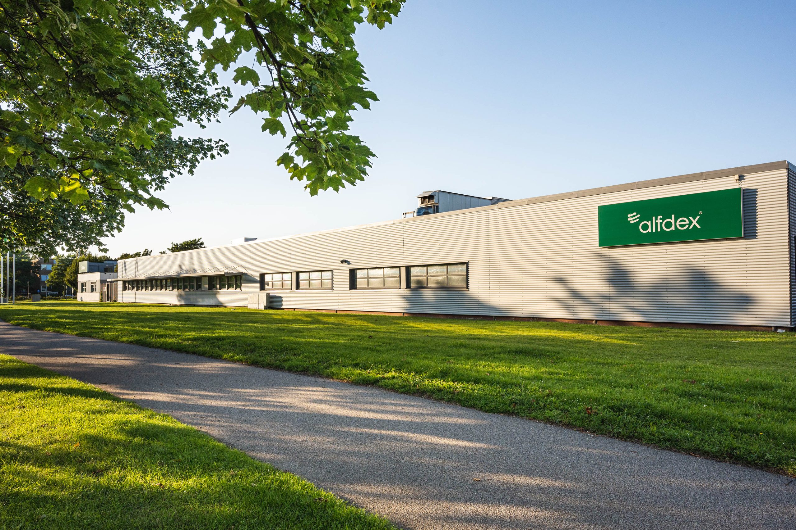 Our company - Alfdex